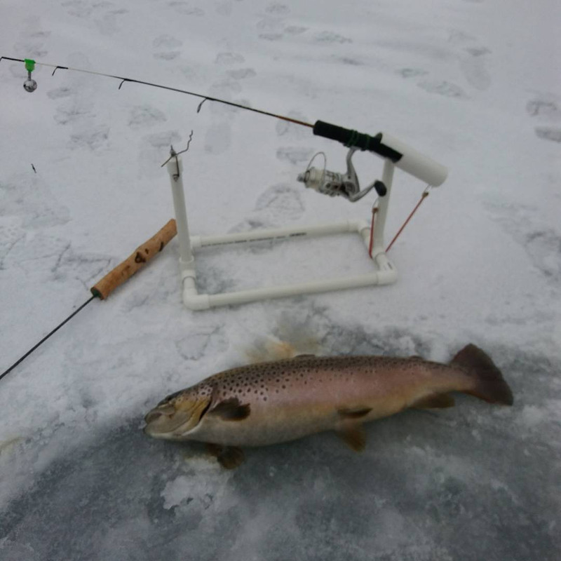 IMG 20180210 190937 196 — Postimages