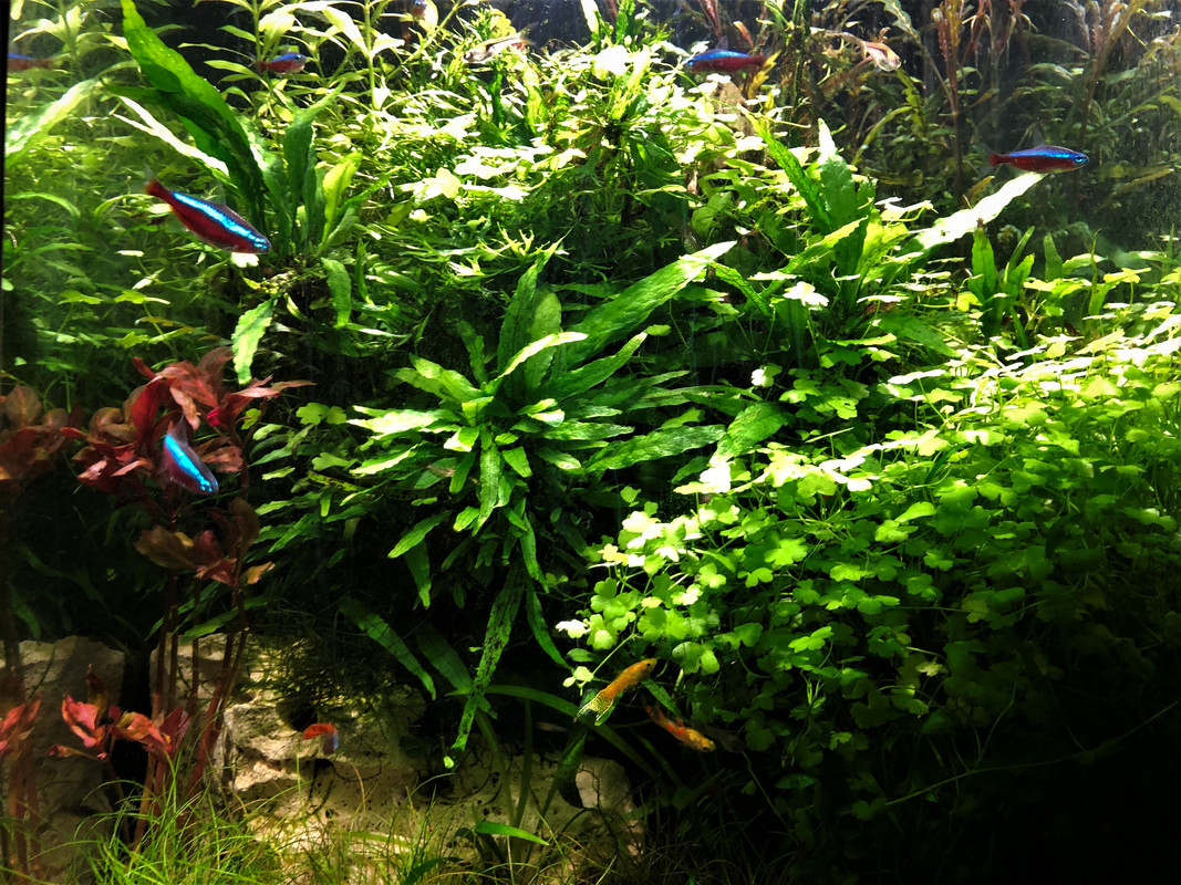 IMG 0804 (2) — Postimages