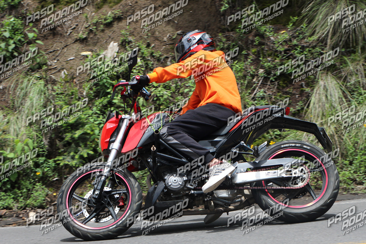 IMG 2201 wm 919301 5 watermarked — Postimages