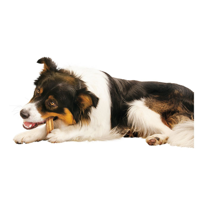 MX DENTALIFE PM ECONT 0722 LS — Postimages