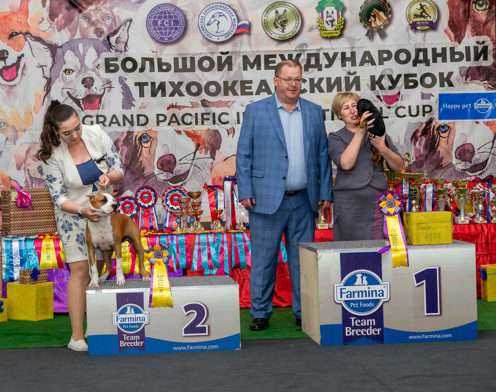 30 1185 — Postimages