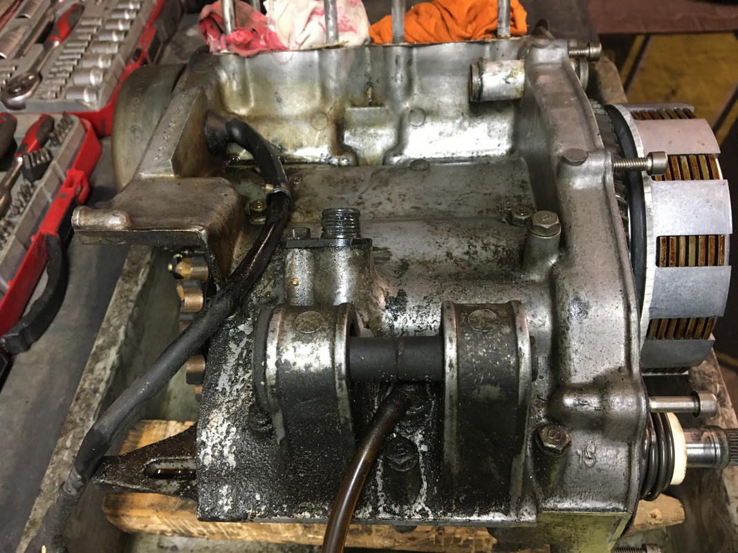 IMG 3164 — Postimages