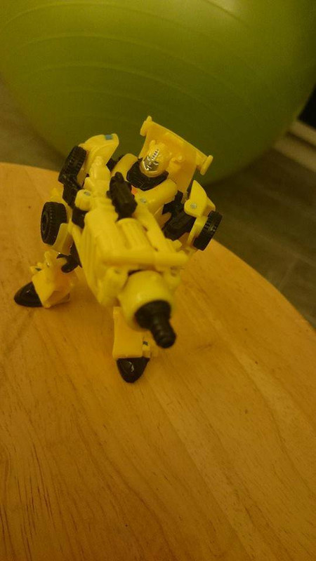 evolution bumblebee 16 1404100060 — Postimages