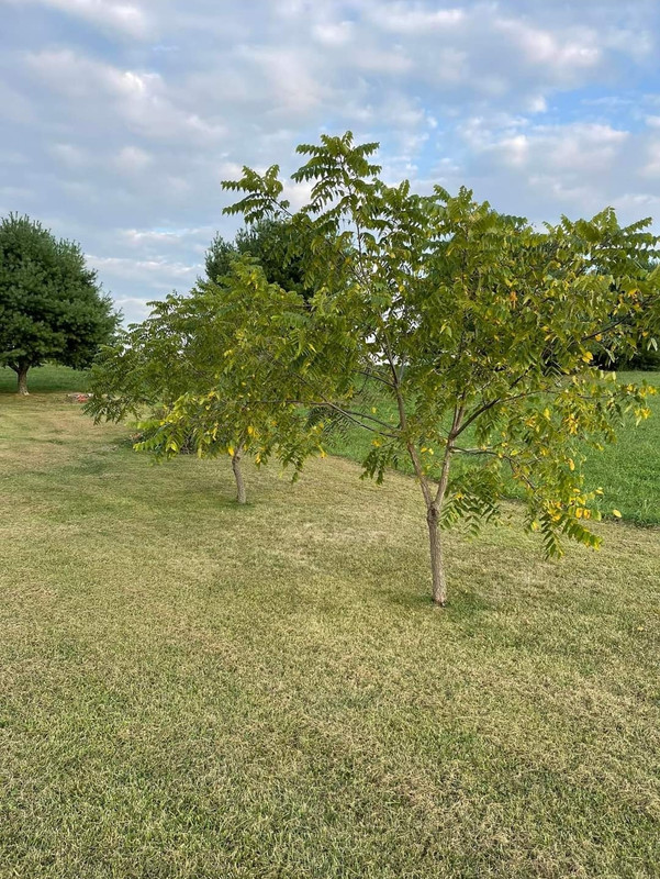 Screenshot 20230917 204844 Facebook — Postimages