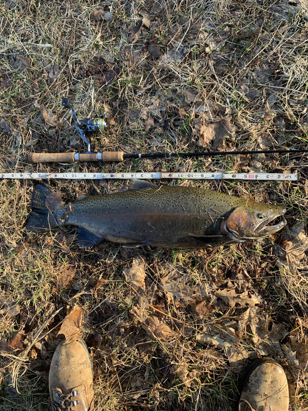 B8 E2586 D 2 AB6 44 B0 88 FC A4 A2 E37499 FC — Postimages