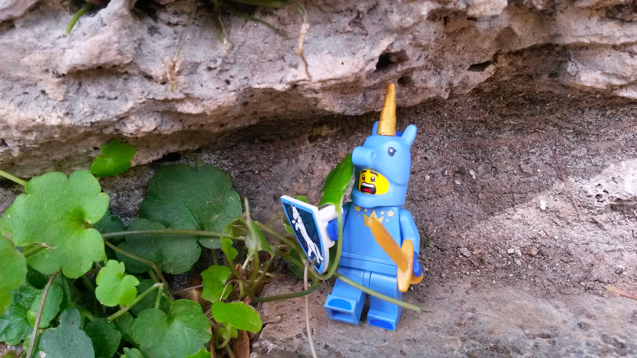 unicorn vs poison grass1 — Postimages