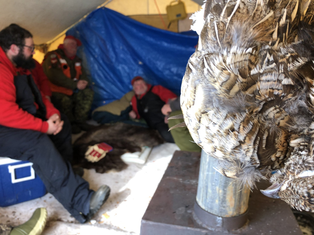 IMG 0513 — Postimages