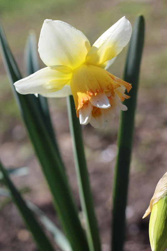 Unknown 1 — Postimages