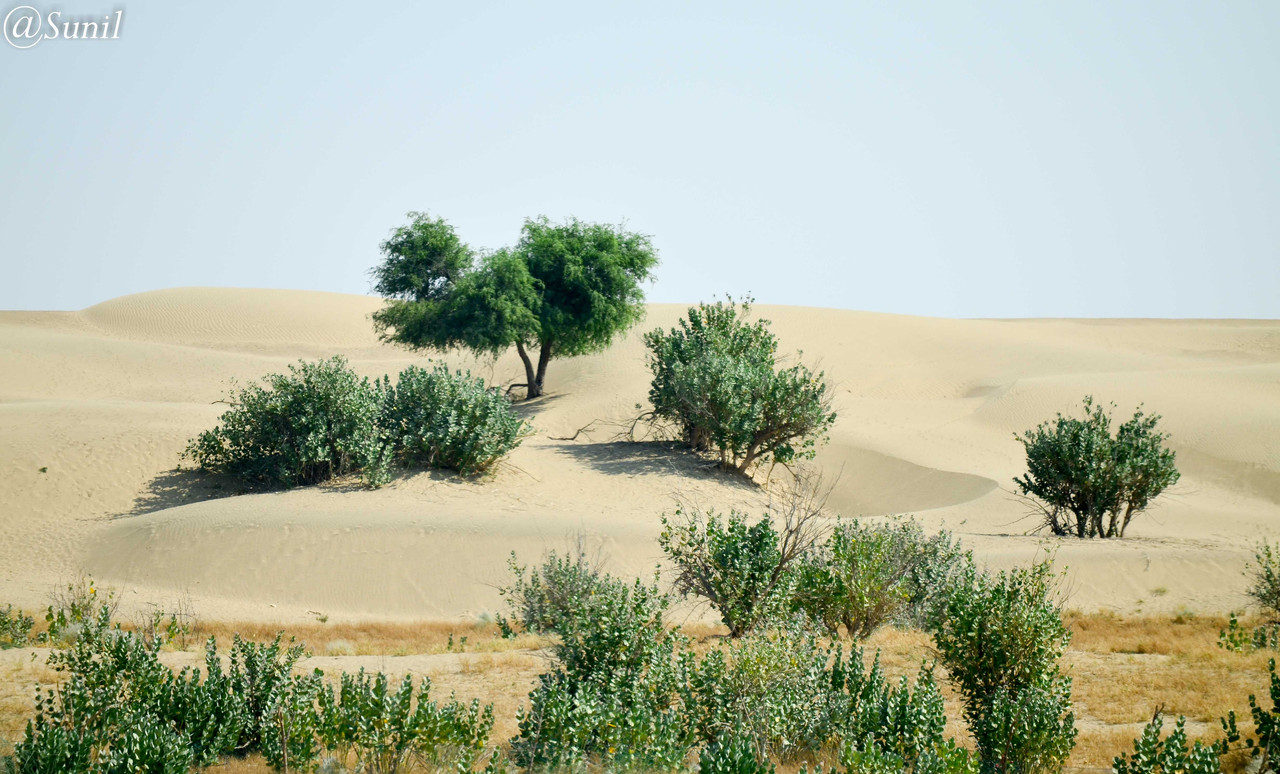 Drive to Munabao, the last Indian Railway Station on the rail link to ...