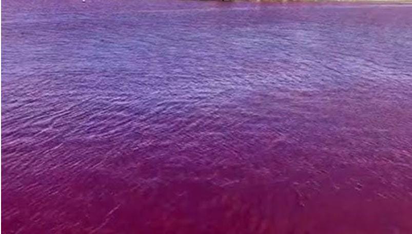 River turns red in Japan