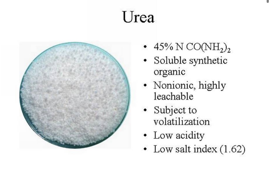 Urea vs AS | Lawn Care Forum