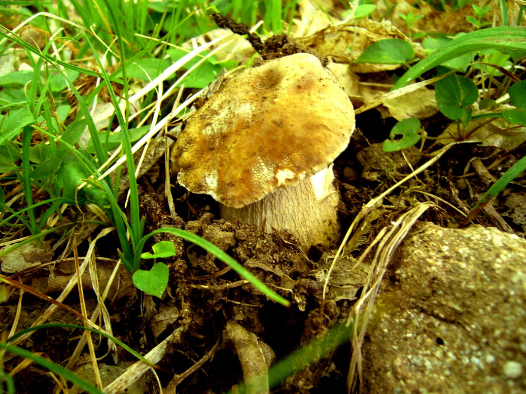 245 d — Postimages