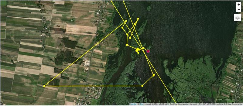 Black Stork Tracks - Page 266 - Looduskalender