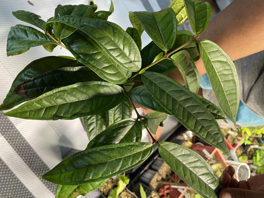 IMG 7474 — Postimages