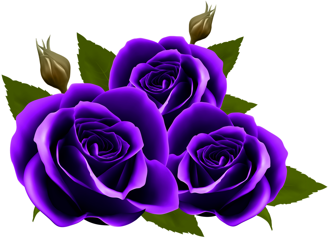 Eight — Postimages