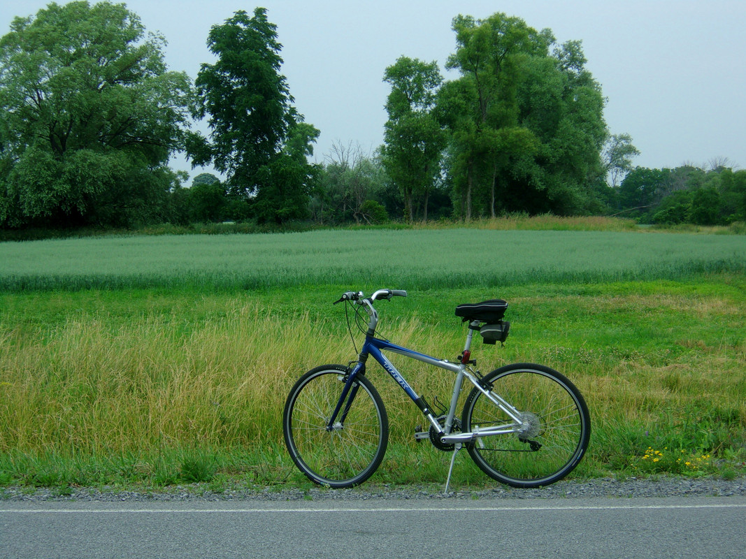 RunningAHEAD - Topic: July - Run through the sprinkler