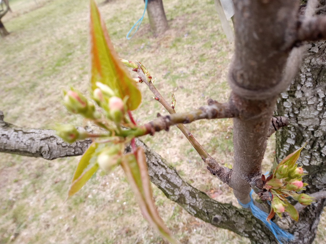 IMG 20220403 140101 374 — Postimages