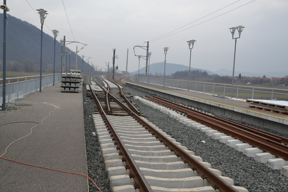 DSC 3390 — Postimages