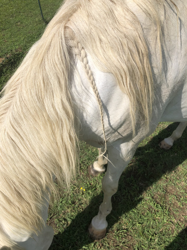 8090968 F EDEC 4519 8281 E5806853 B412 — Postimages