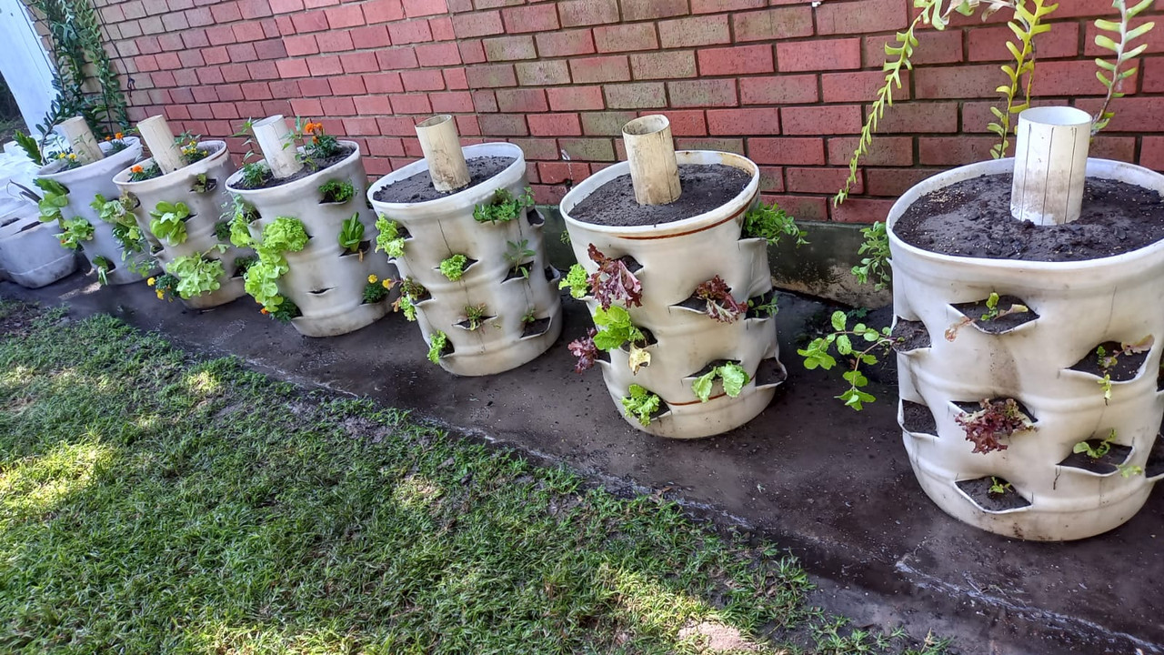 Vertical Drum Farming - Limited space, here's a solution ...