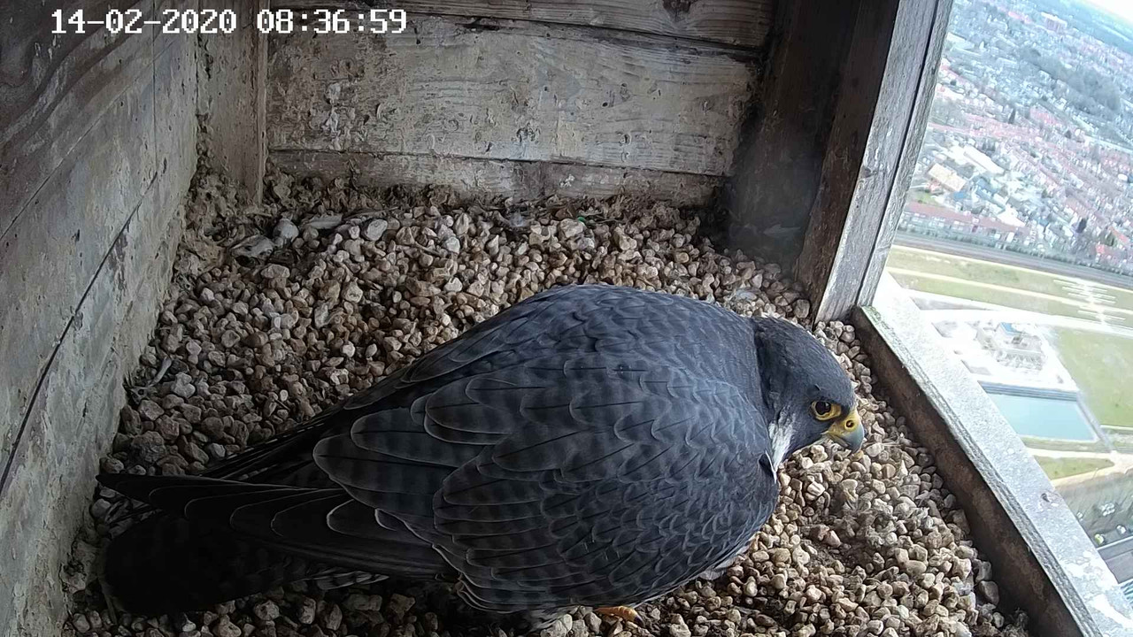 14 2b — Postimages