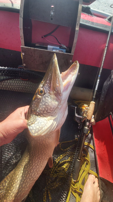 20230628 091303 — Postimages