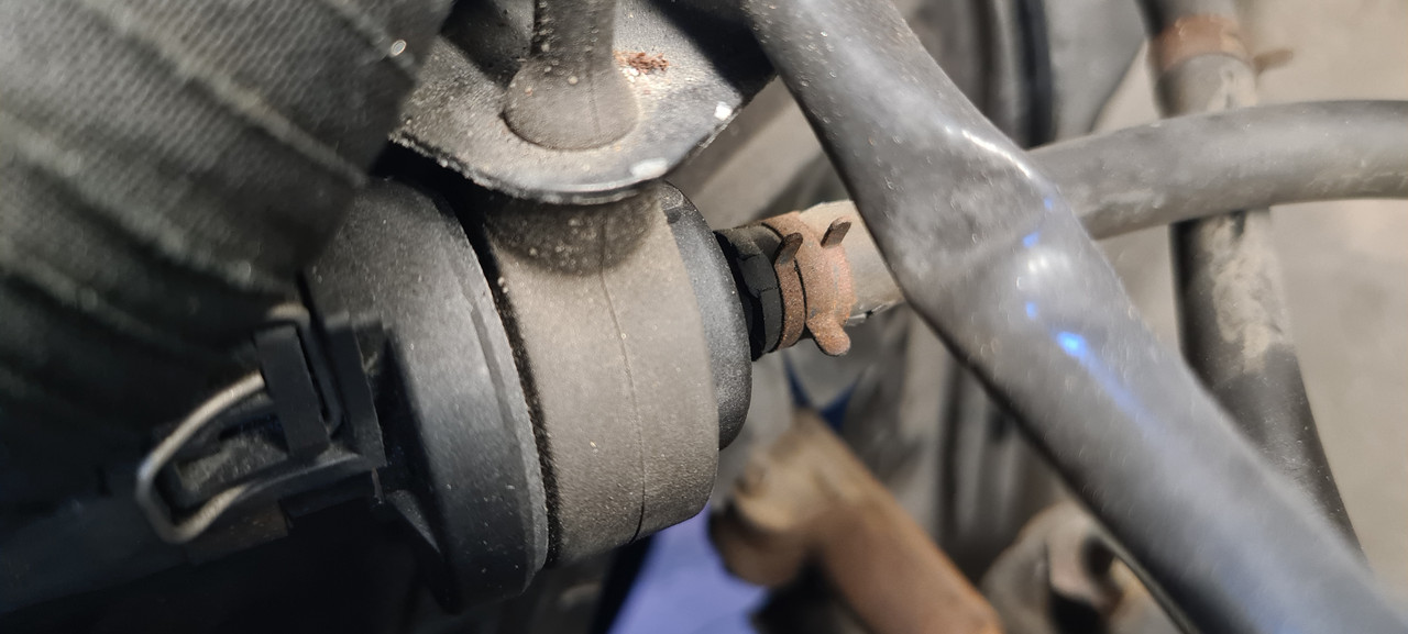 20231210 102802 — Postimages