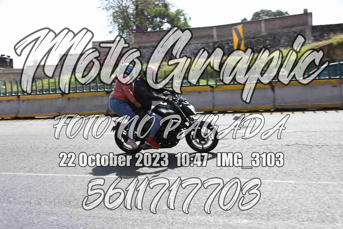 motgr IMG 3103 — Postimages