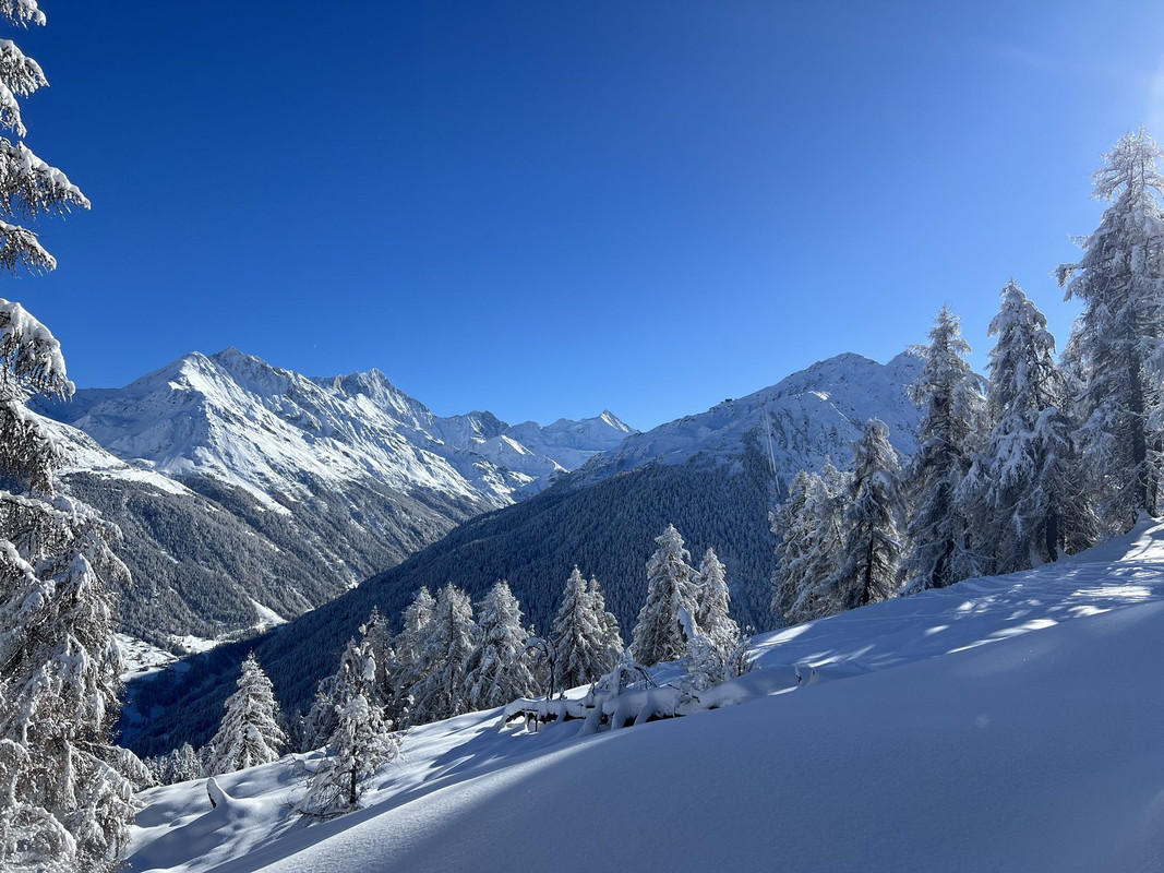 IMG 6293 — Postimages