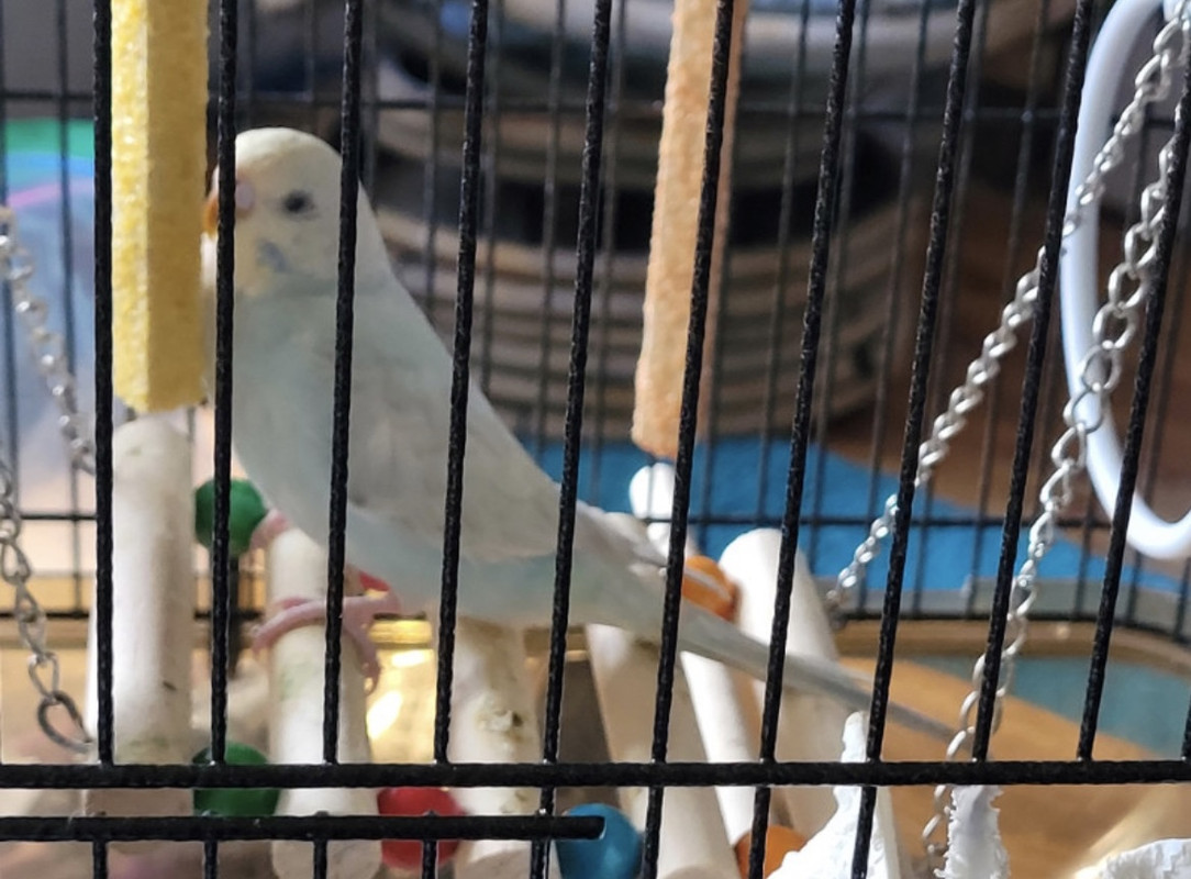 IMG 1249 — Postimages