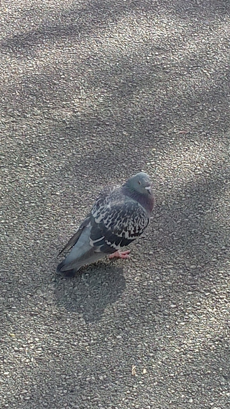 WP5000 05 — Postimages