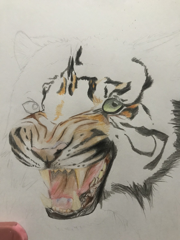 6 DD5731 E F991 4097 82 CA 1135 D524 C572 — Postimages