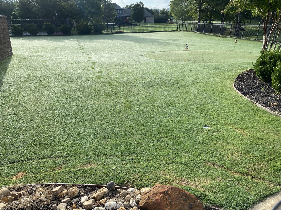 D7 CC9356 A911 4 DAC 84 FC 65 DC09 DF36 F7 — Postimages