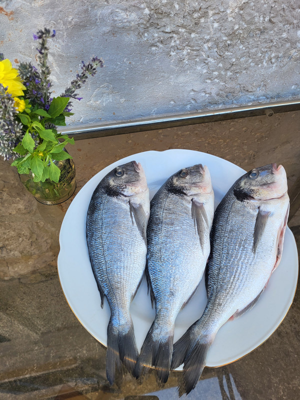 20230929 132213 — Postimages