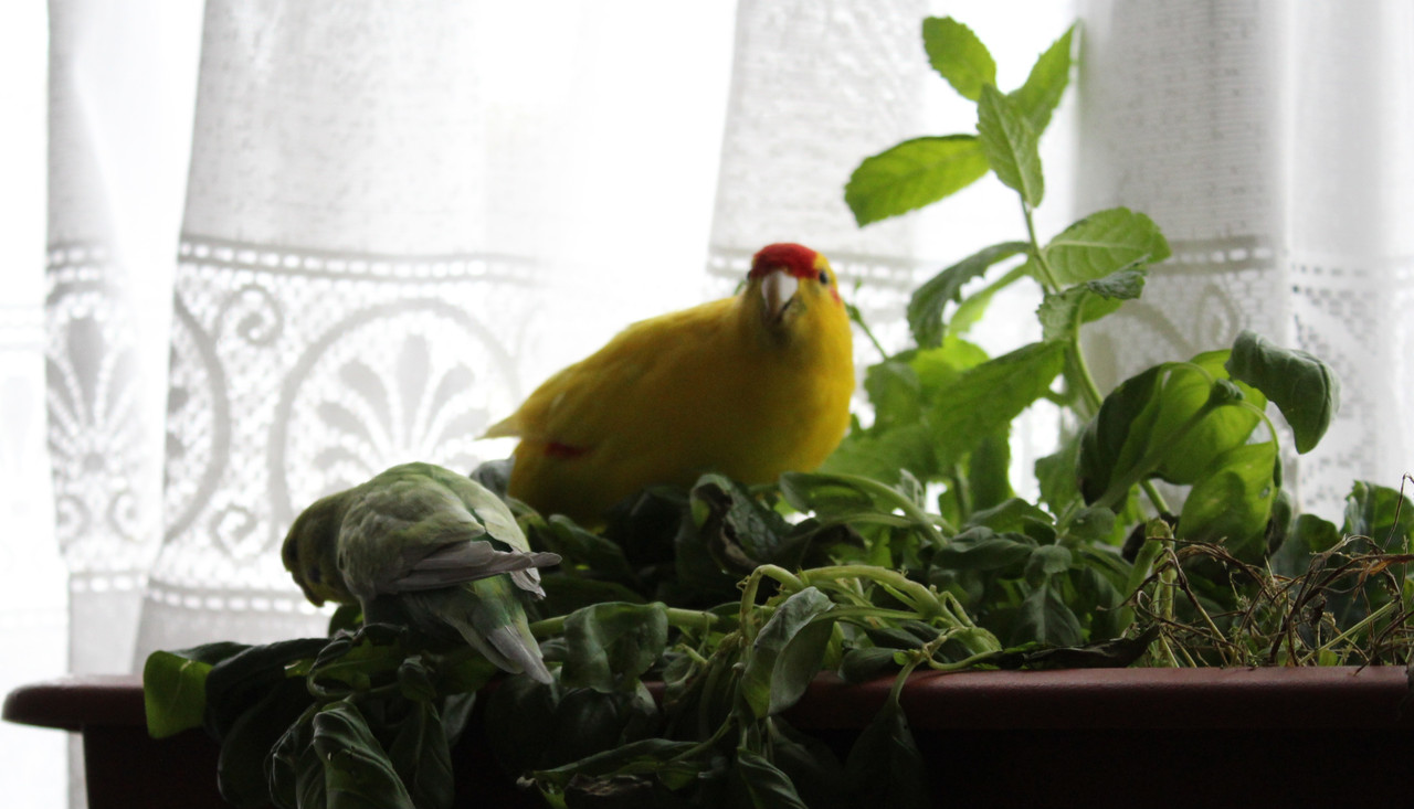 20230722170757 IMG 0514 — Postimages