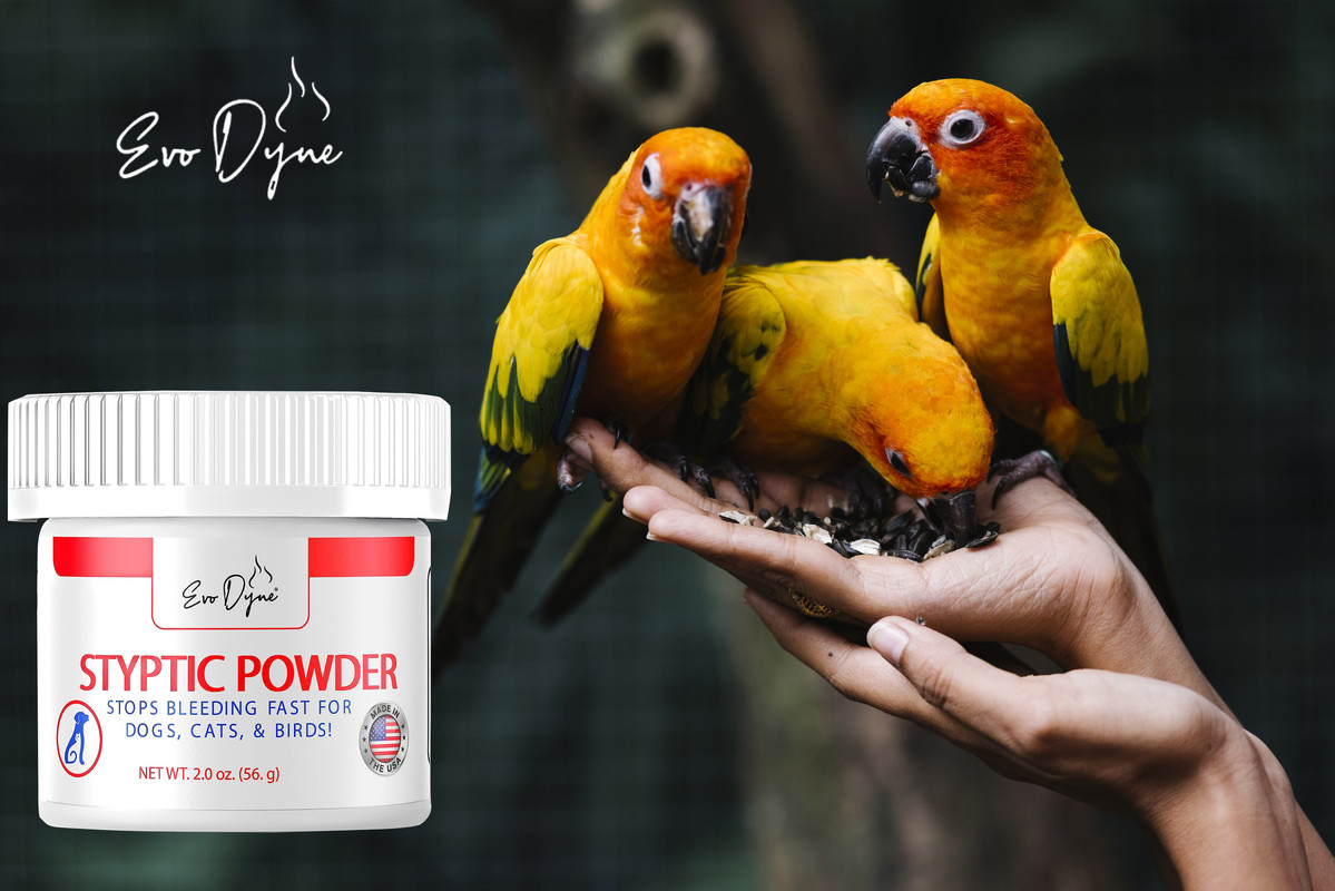 hands holding wild birds zoo copy — Postimages