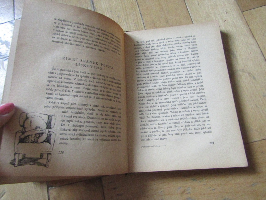 IMG 0453 — Postimages