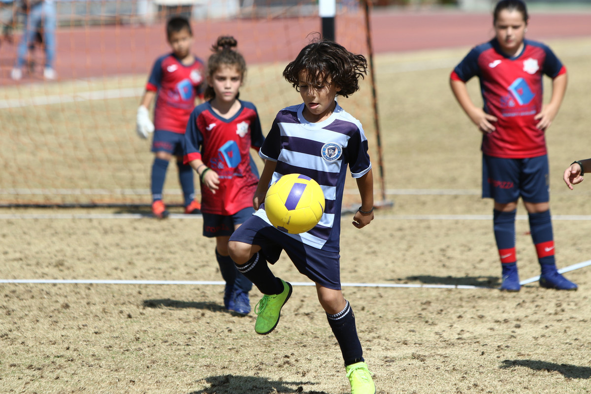 VIK 2066 — Postimages