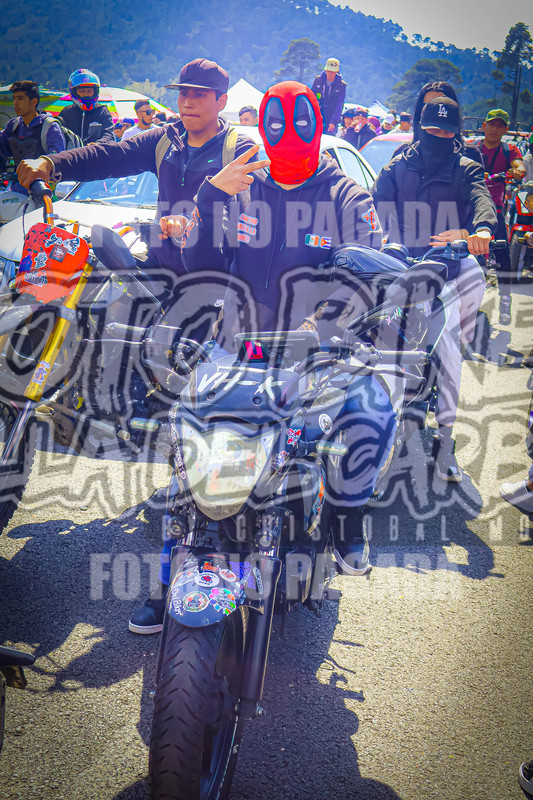 PL2 4038 — Postimages