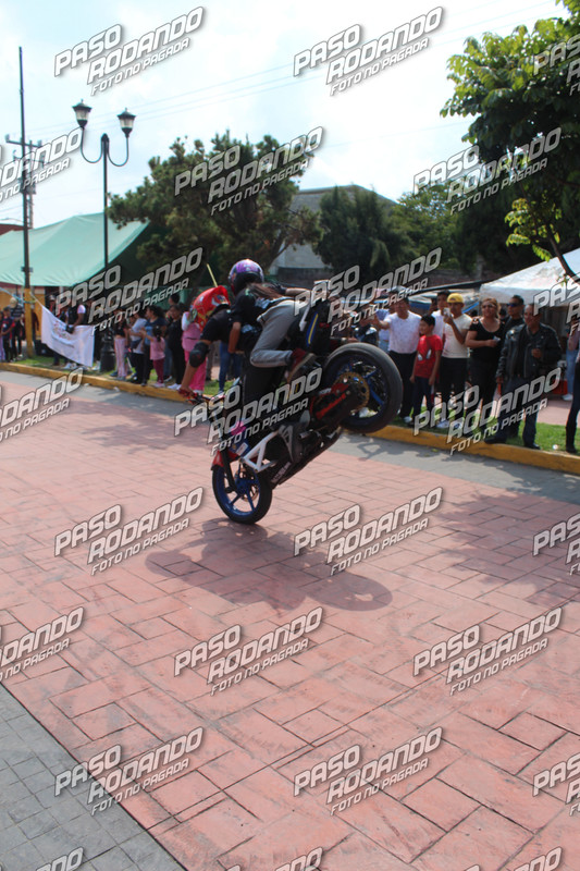 IMG 0657 wm 870245 watermarked — Postimages