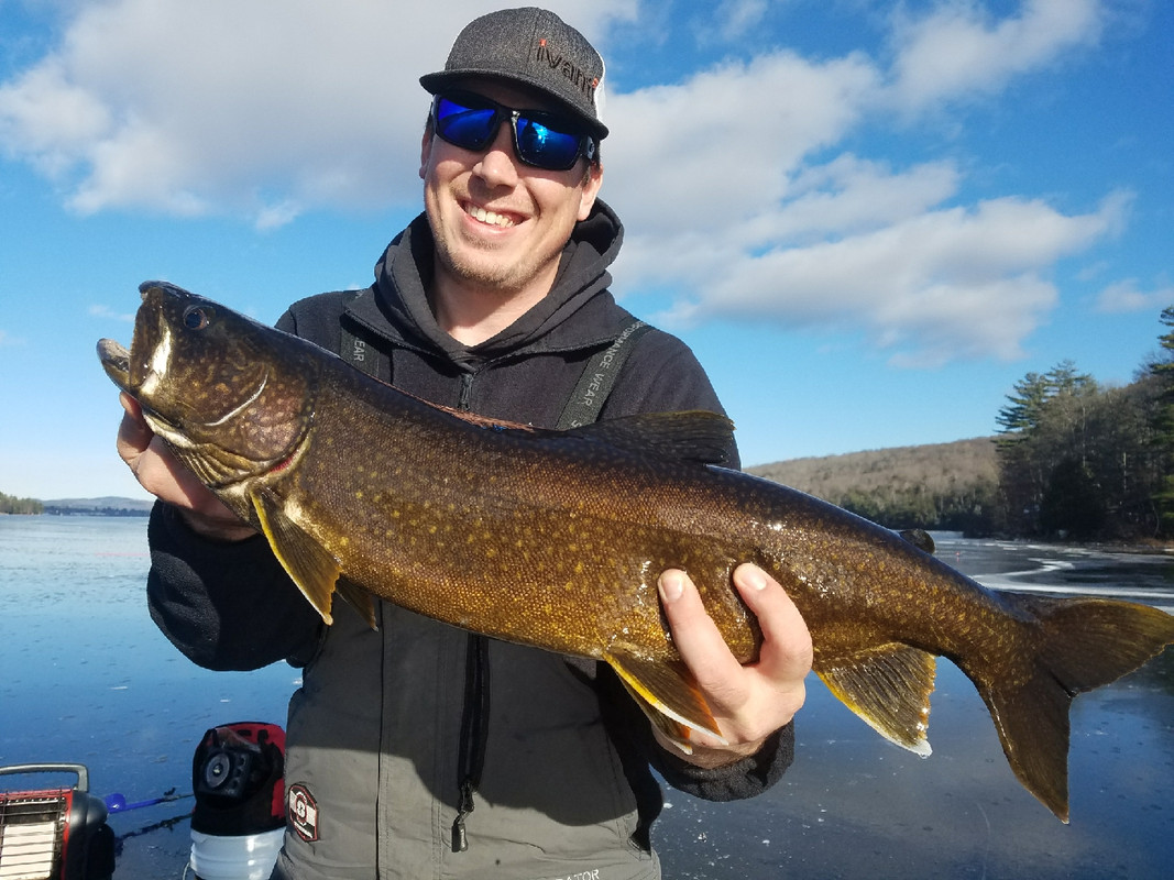 Resized 20181223 131555 — Postimages