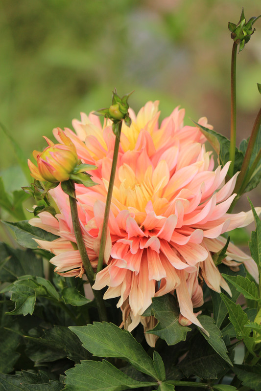 IMG 5149 — Postimages