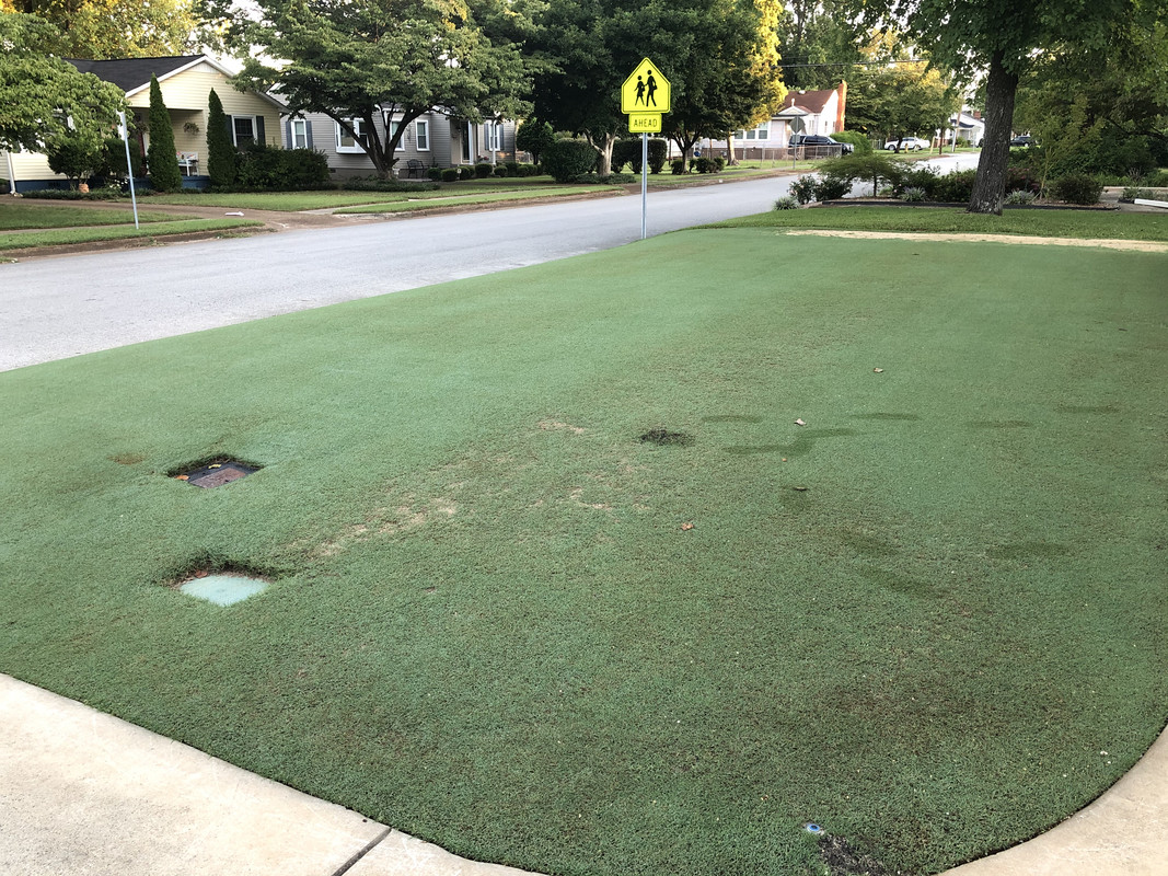 6 E41 FB42 9081 4482 98 EA 3 A20 B81 CE6 C5 — Postimages