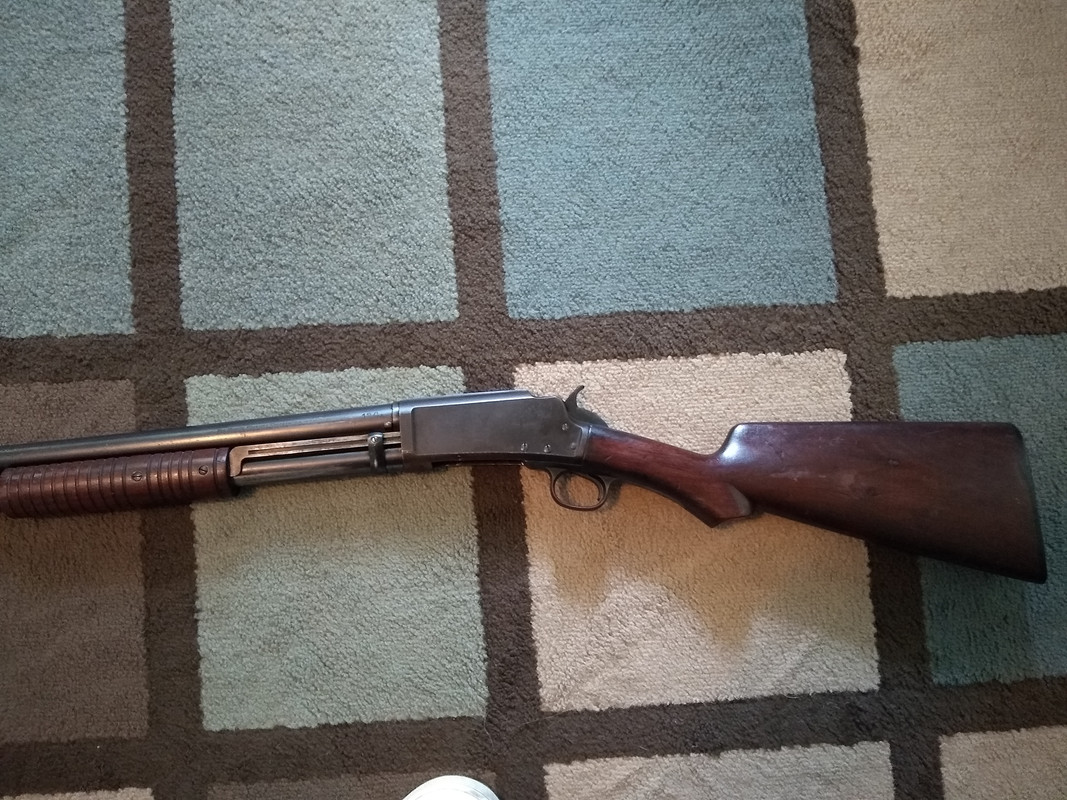 Does this look like a Marlin Model 24 to you guys? > Shotguns > AR15.COM