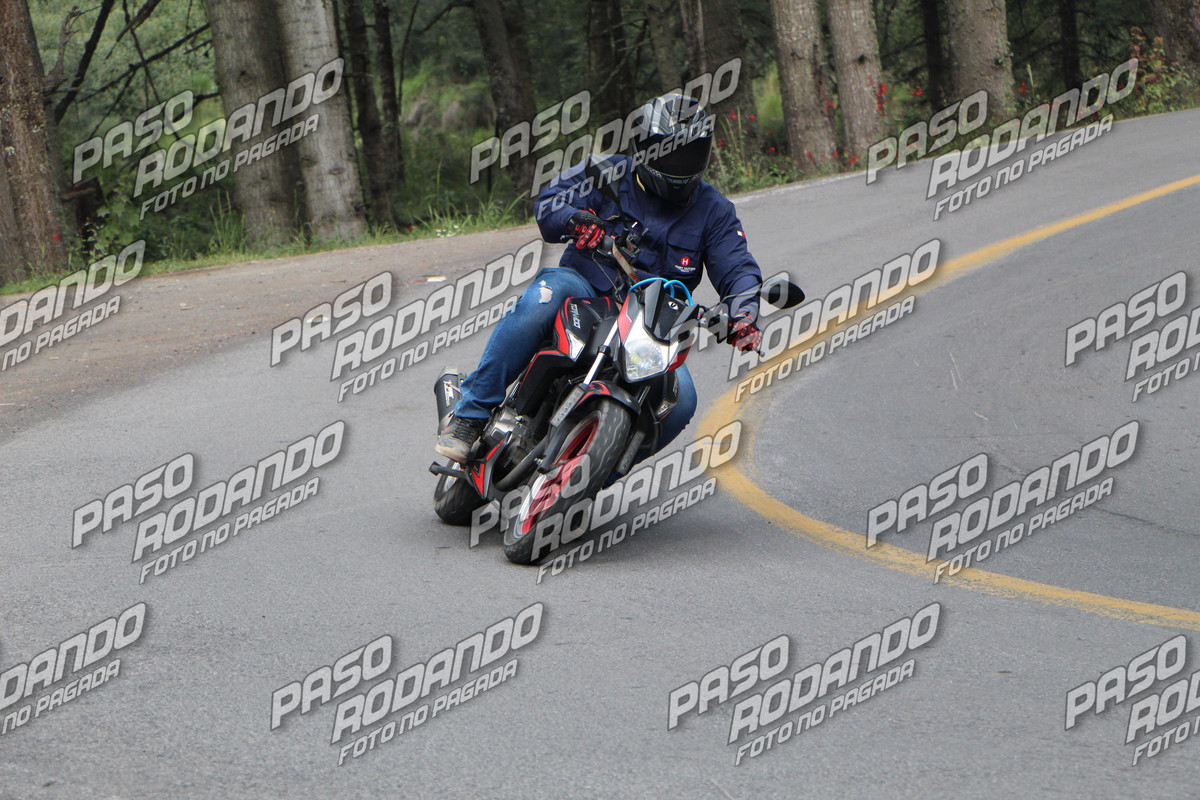 IMG 1107 wm 58889 5 watermarked — Postimages