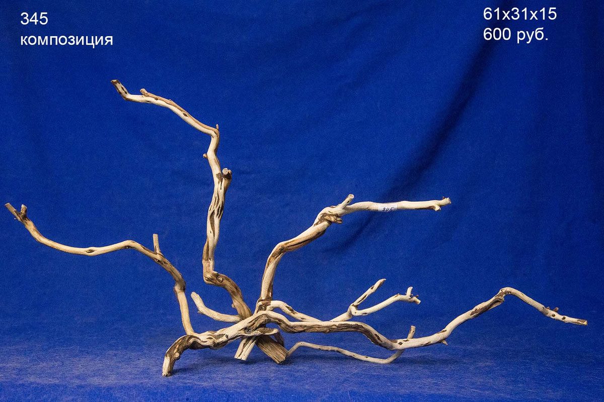 IMG 9962 копия — Postimages