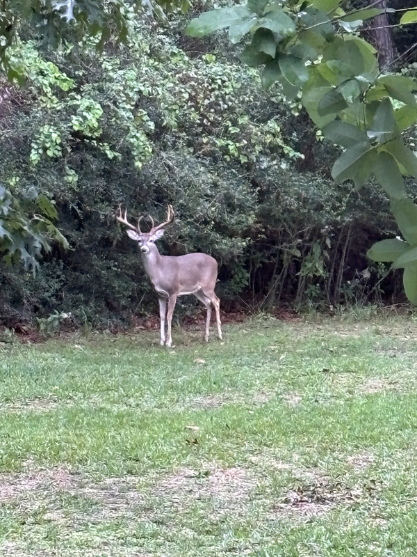 IMG 0175 — Postimages