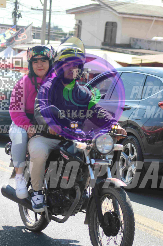 batch IMG 1350 — Postimages