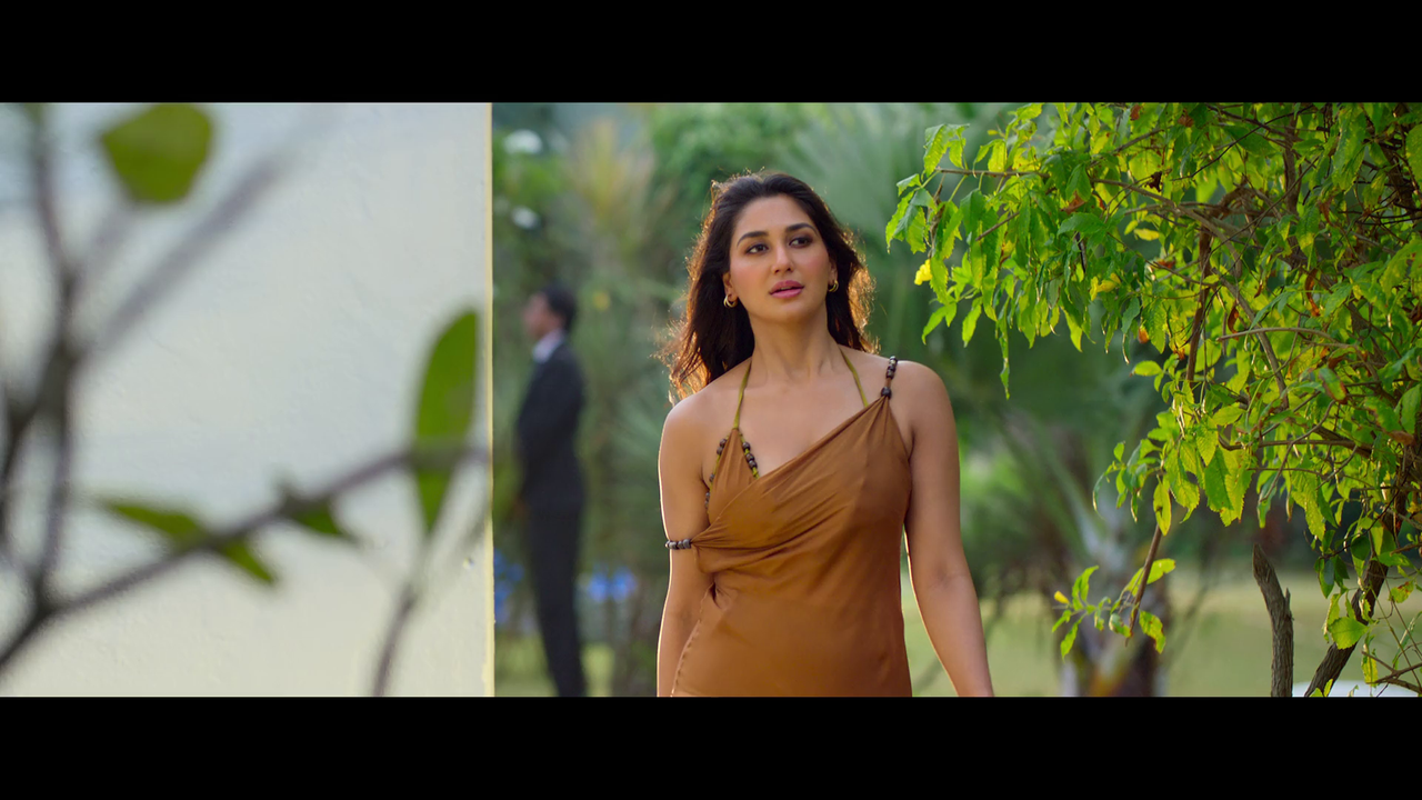 vlcsnap 2025 04 25 21h10m18s270 — Postimages