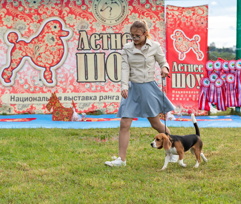 КЮХ 38 — Postimages